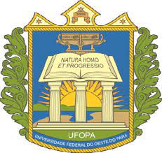 Instituto de engenharia e geociências