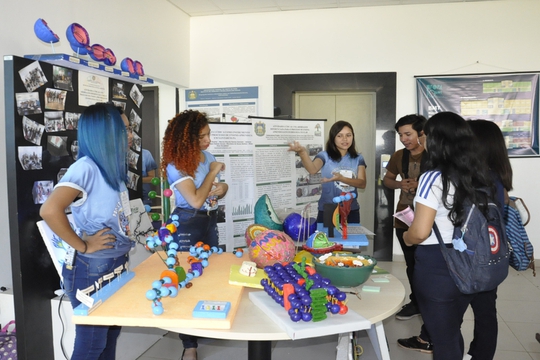 Universidade Federal do Oeste do Pará