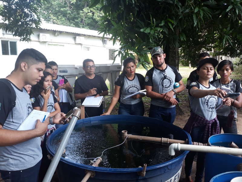 Universidade Federal do Oeste do Pará