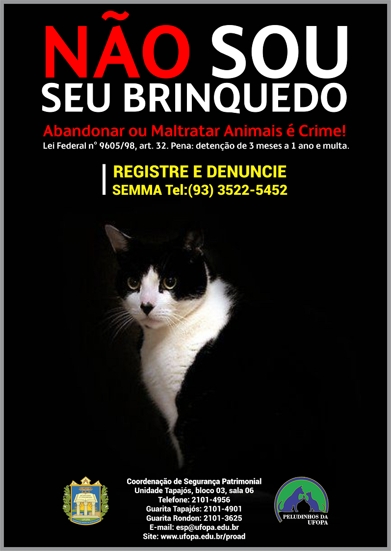 Universidade Federal do Oeste do Pará